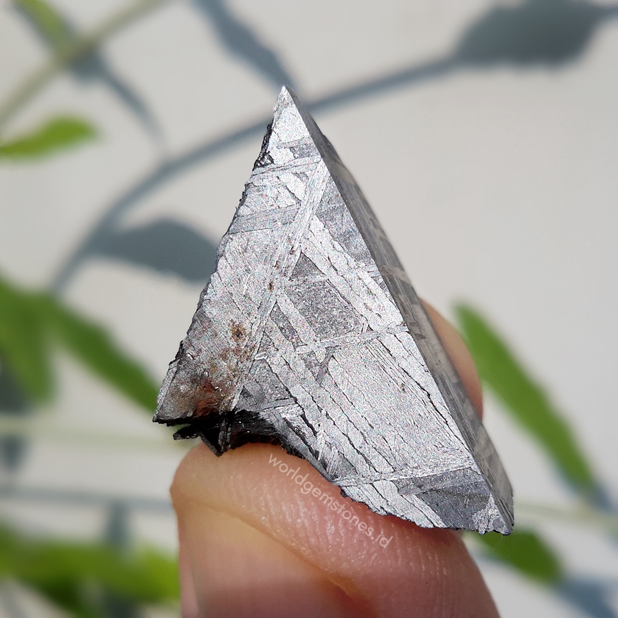 Muonionalusta Meteorite EXTRA Origin Sweden – World Gemstones